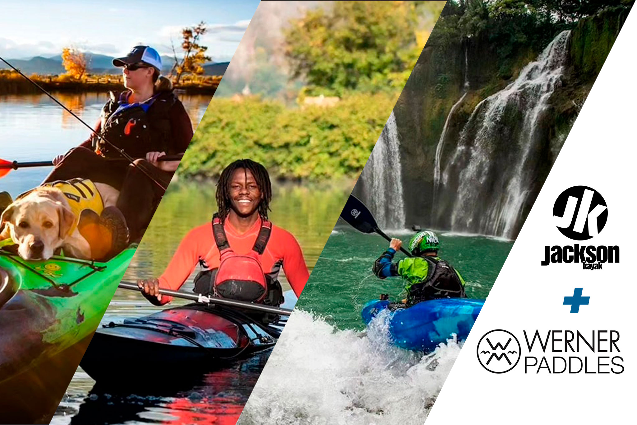 Werner Paddle Logo Werner Rip Stick Paddles | Boardsports California